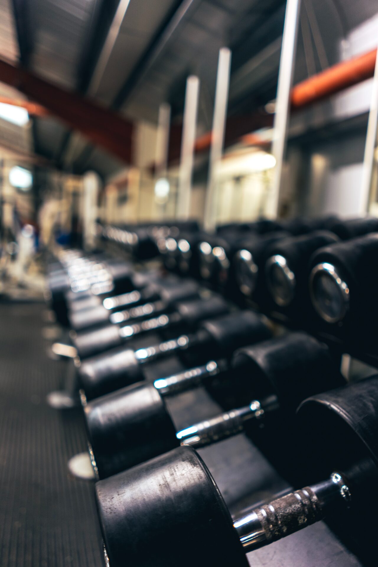 Self hosted Workout Tracking App: Wger